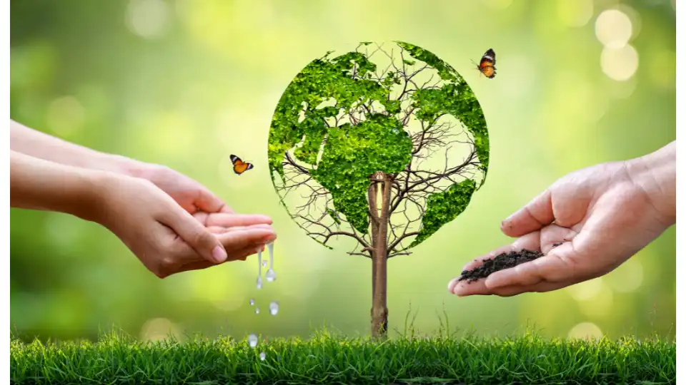 Menuju PROPER Hijau: Kriteria dan Proses Penilaian - Lensa Lingkungan